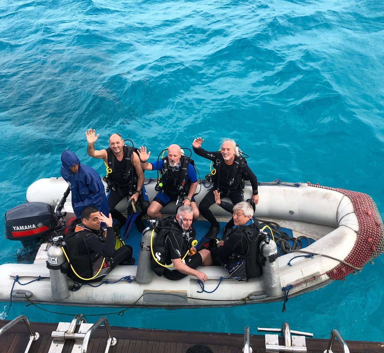 Kızıldeniz Dalışı Fotoğraf Albümü – Türk Balıkadamlar Spor Kulübü